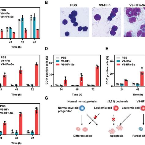 V9‐hfn‐se Inhibits The Growth Of T 8 21 Leukemia Cells By Inducing Download Scientific Diagram