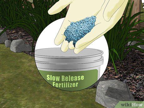 How To Prevent Fertilizer Runoff Steps With Pictures