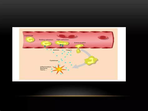 Leukocyte Adhesion Deficiency Pptx