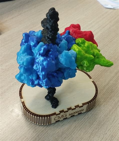 Educational Model Cmg Complex 1 To 6000000 By Stefan Huber