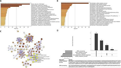 Exploratory Meta Analysis Of Hypoxic Transcriptomes Using A Precise Transcript Reference