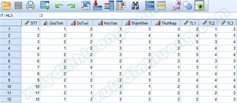 Nhập Dữ Liệu Từ Excel Vào Spss