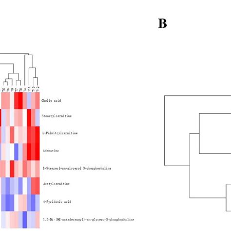 unsupervised hierarchical clustering heat map of metabolites obtained