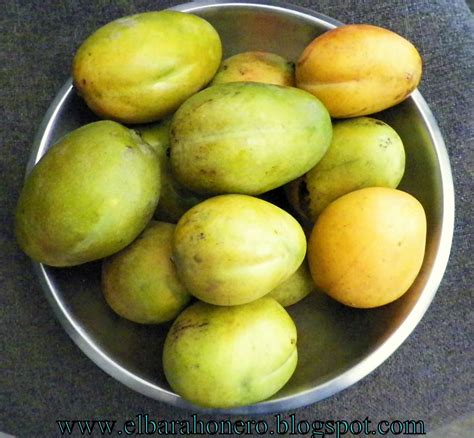 Ponchera De Mangos Pechito De El Barahonero El Barahonero