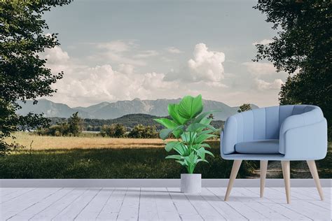 A Path Leading To A Field With Trees And Mountains In The Background Magic Decor