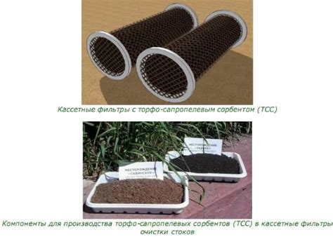 Очистка сточных и фекальных вод эйхорнией и торфо-сапропелевым сорбентом