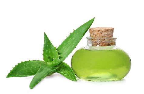 芦荟图片 芦荟与芦荟精华素材 高清图片 摄影照片 寻图免费打包下载