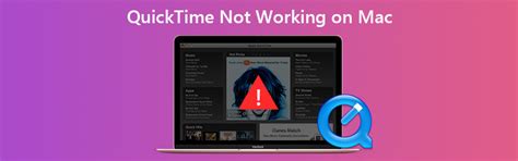 5 Solutions To Fix Quicktime Now Working On Mac Issue
