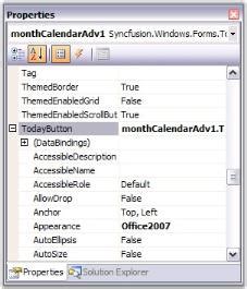 Customizing Sections In Windows Forms Xptoolbar Syncfusion