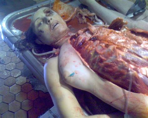 閲覧注意女の子の全裸遺体の処女膜を破った写真もはや炎上どころではない画像あり ポッカキット