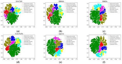 Tree Species Classification From Airborne Hyperspectral Images Using