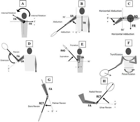 Kinematic Parameters Movement Of The Flat Forehand Drive Download Scientific Diagram