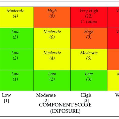Vulnerability Matrix Showing The Vulnerability Region Of C Tulipa Download Scientific Diagram