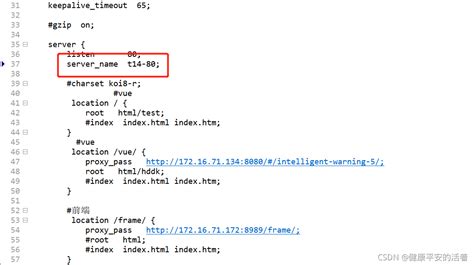 Nginx的总结篇以及一台nginx代理多个资源服务nginx一个端口代理多个服务 Csdn博客