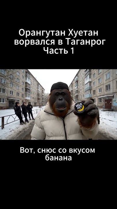 Орангутан в Таганроге Часть 1 Youtube