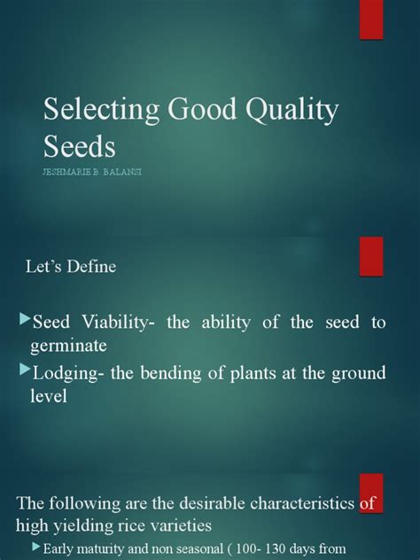 Selecting Good Quality Seeds Pdf Seed Rice