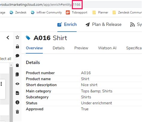 Searching For An Entity Using The Url Inriver Community