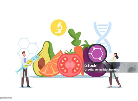 거대한 유전자 변형 식품 및 농업 작물 학습 Gmo 식품에서 작은 과학자 남성과 여성 문자 음식에 대한 스톡 벡터 아트 및 기타 이미지 음식 안전 생명 공학 Istock