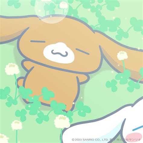 ゆーみー on Twitter RT cinnamon sanrio しょーげきのげんじつ 続きはここからだよ https