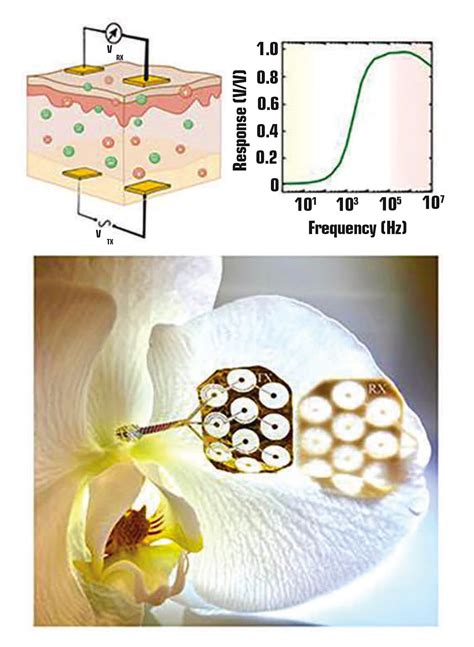 Wireless High Speed Low Power Communications For Implantable Devices Medical Design Briefs