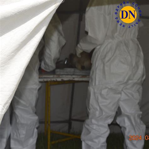 Тарваган тахлын байгалийн голомт идэвхтэй байна Dnn Mn