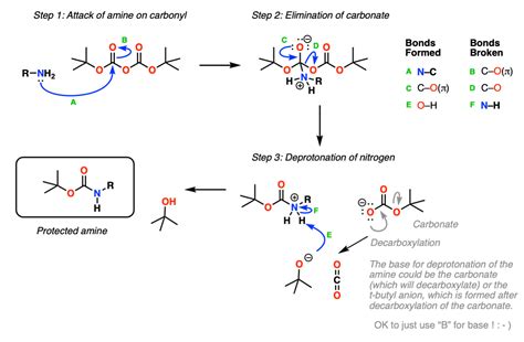 Amine Protection And Deprotection Master Organic Chemistry
