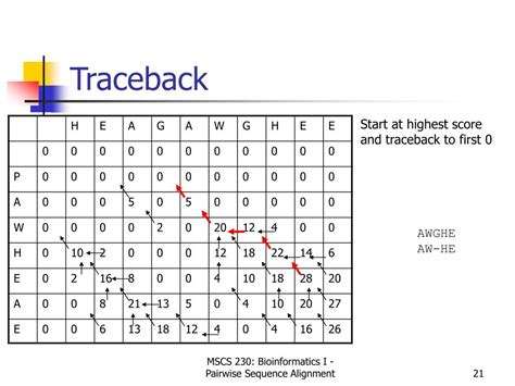 Ppt Algorithms For Pairwise Sequence Alignment Powerpoint Presentation Id4726067