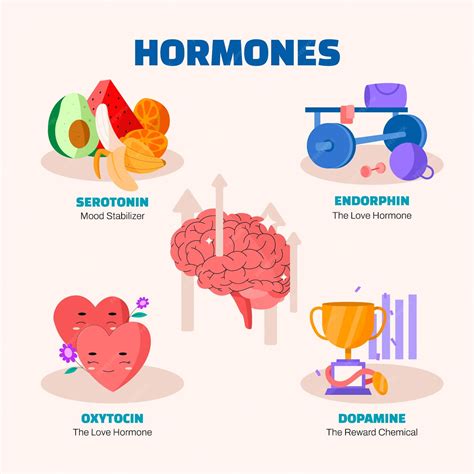 Infografía De Hormonas De Diseño Plano Vector Gratis