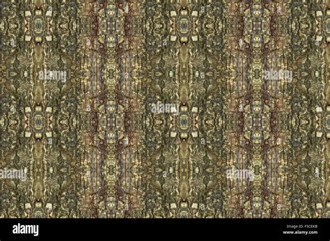 Tree Bark Texture Wallpaper Stock Photo Alamy