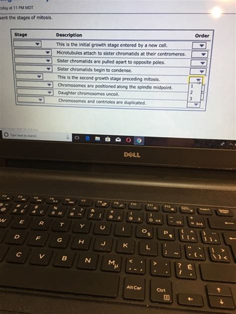 solved plia assignment cell cycles due today at 11 pm mdt