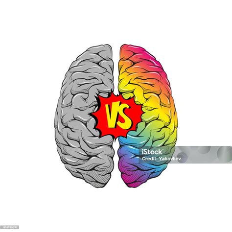 편지 인간의 뇌의 오른쪽과 왼쪽 반구 그림 대 창의적인 개념 벡터 디자인입니다 사람 뇌에 대한 스톡 벡터 아트 및 기타 이미지 사람 뇌 감정 개념 Istock