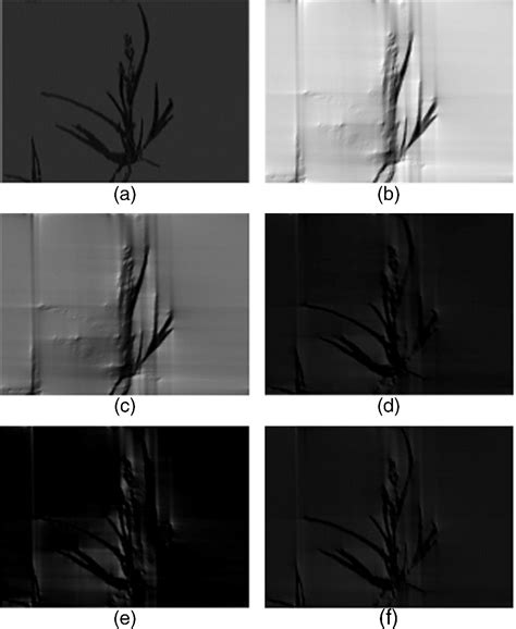 Lawn Plant Identification And Segmentation Based On Least Squares Support Vector Machine And