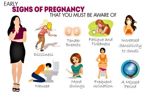 8 Early Signs Of Pregnancy Before Missed Period Pregnancy Hub