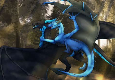 Rule 34 2017 Black Penis Blue Scales Darkarlett Dragon Duo Erection Female Feral Feral On