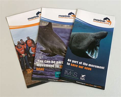 Mcs Save Our Seas 8pp Dl Leaflets Ea Printing