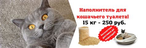 Кошачий наполнитель для туалета во Владимире! | Древесный наполнитель ...