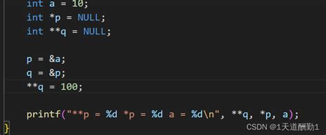 指针的基本概述指针变量的跨度的定义 Csdn博客