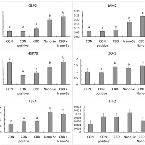 The Relative Mrna Expression Levels Normalized To The β Actin