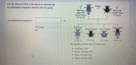 Recombination Frequency Calculation