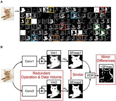 Frontiers Deep Spiking Neural Networks Models And Learning Algorithms