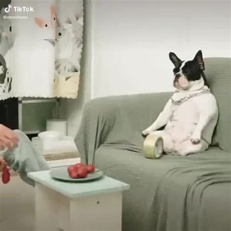 Пин на доске Юмор