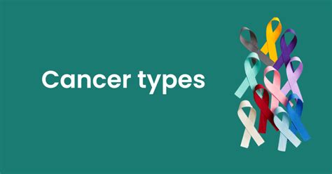 Types Of Cancers Pi Health Cancer Hospital