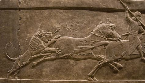 Assyrian Wallpaper Coat Of Arms Of Kingdom Of Assyria By Coralarts On