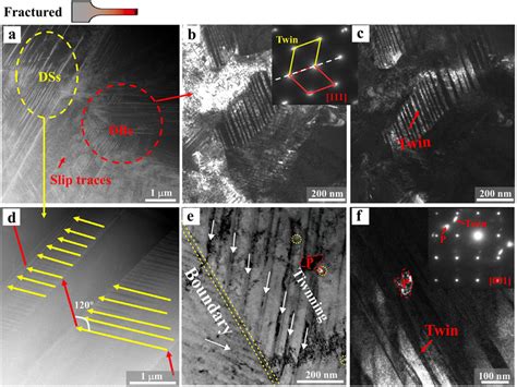 Microstructures Near The Fracture Surface Of M15a Lrcca Observed By