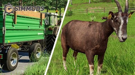 Ls19 Hof Bergmann Version 1007 Download Simmods