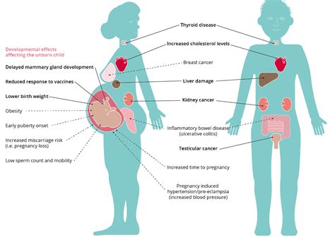 What Are The Pfas Sources And How Consumers Can Avoid Them Wikifarmer