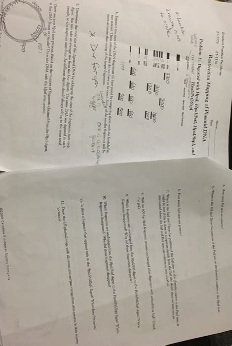 21 1175 Restriction Mapping Of Plasmid Dna Problem