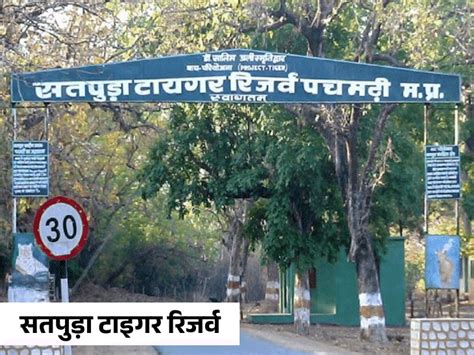 mp s tiger reserve full on holi mp के टाइगर रिजर्व फुल कोर एरिया में