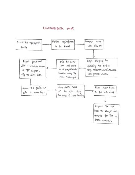 Flowchart Clinical Bacteriology Studocu
