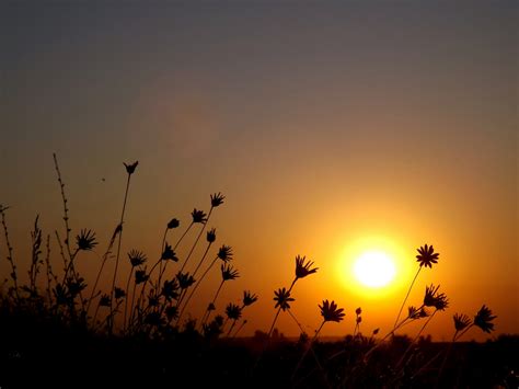 картинки пейзаж природа горизонт облако небо солнце Восход закат солнца поле прерия